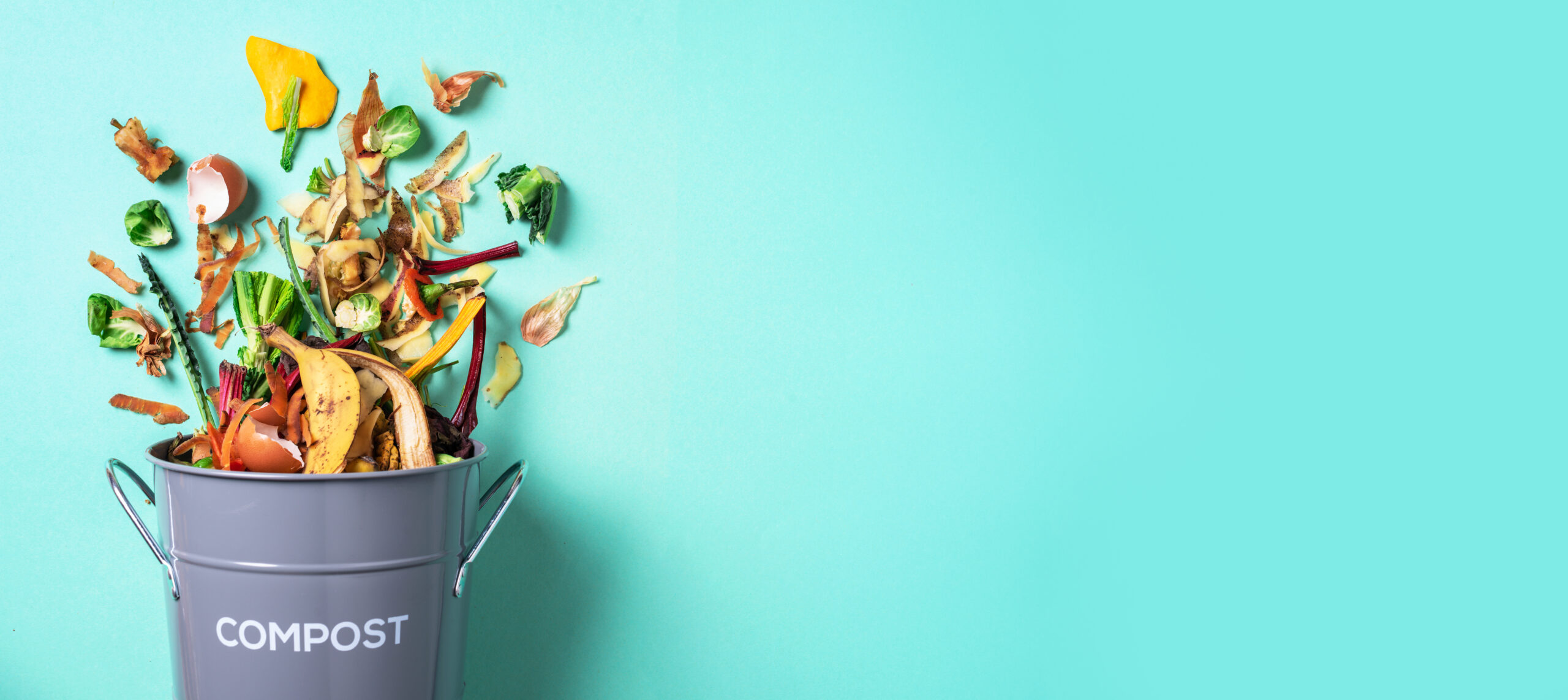 Minimizing Food Waste: A Guide to Sustainable Consumption